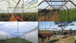 SKY TRANSPORT SYSTEM – Greenfarming Solutions