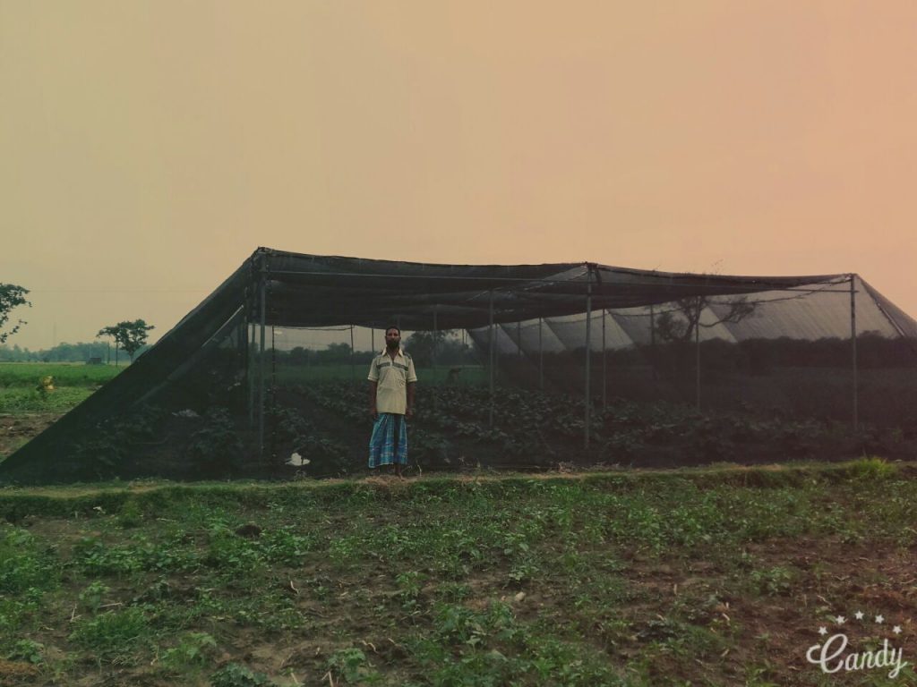 GREENHOUSE – Greenfarming Solutions