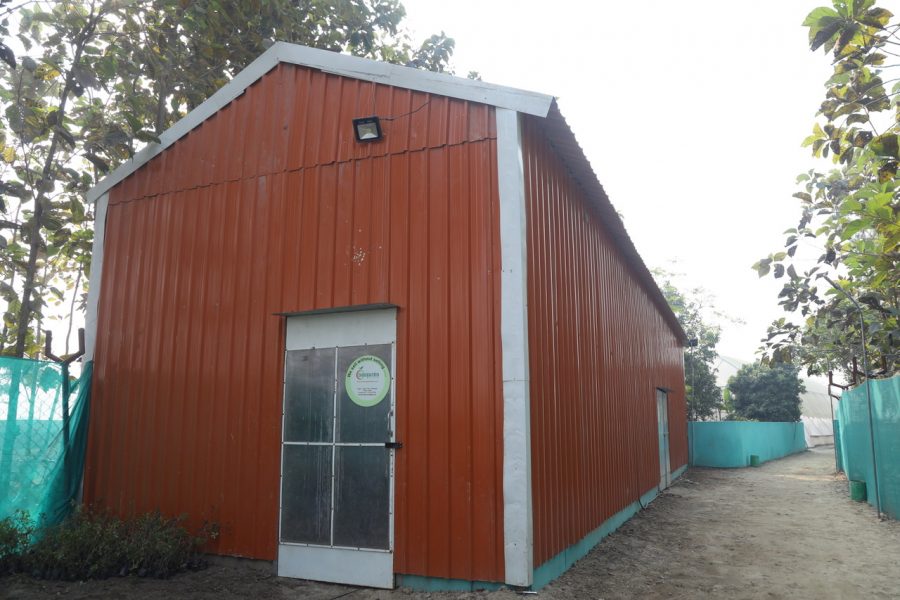 PACK HOUSE – Greenfarming Solutions